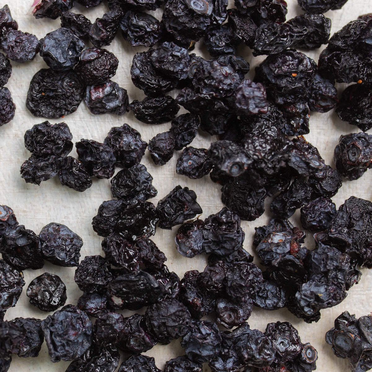 Australian Dried Blueberry – Tropical Harvest QLD